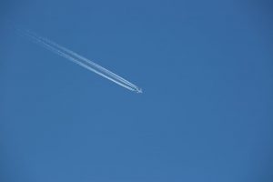 Download Emily Wilson's The Odyssey PDF | Free Translation